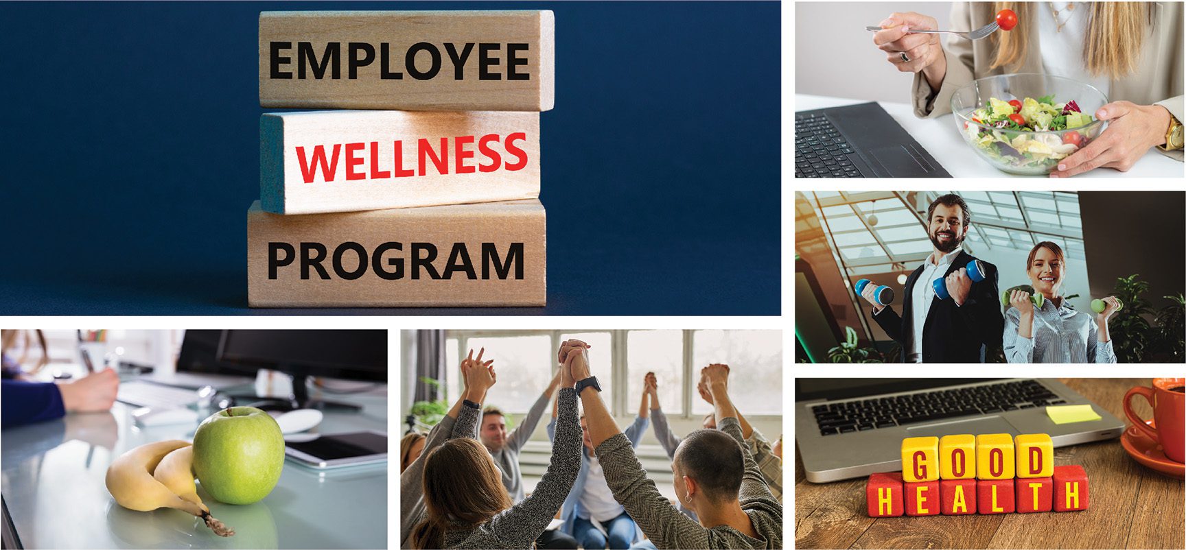 CHI - What We Offer - Hays Med